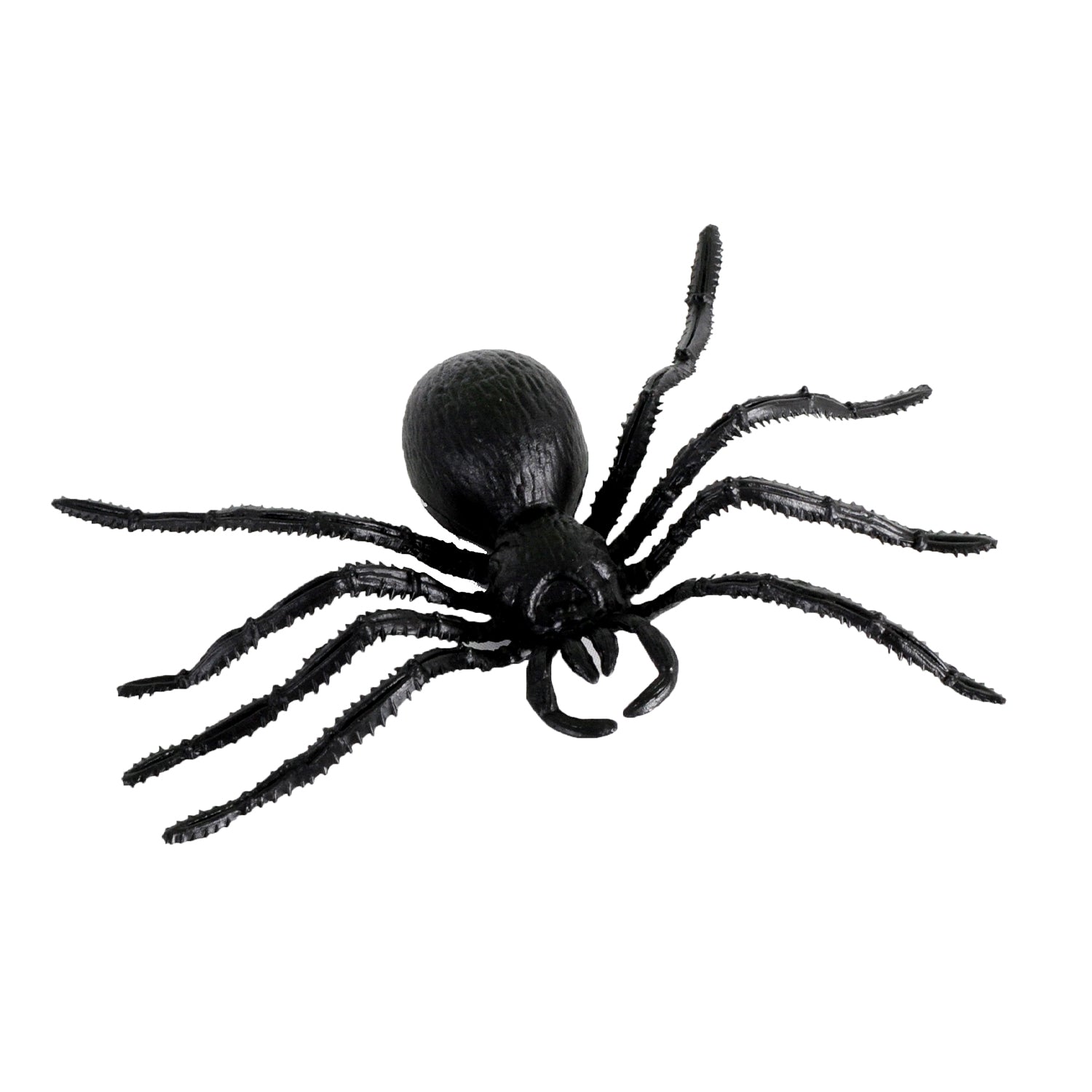 Large Plastic Spider – The Party Inventory